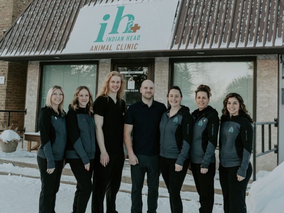 Best Vet Clinic In Indian Head SK | Indian Head Animal Clinic